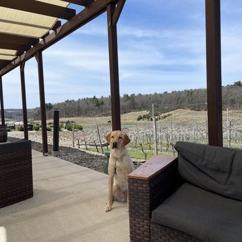 BLUE RIDGE VINEYARD AND WINERY - Updated August 2025 - 43 Photos & 23 ...
