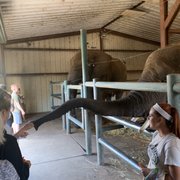 VISION QUEST RANCH - 778 Photos & 280 Reviews - Bed & Breakfast - 400 ...