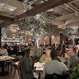 ABA - Updated August 2024 - 4059 Photos & 1675 Reviews - 302 N Green St ...