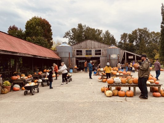 FALL CITY FARMS - Updated October 2025 - 56 Photos & 20 Reviews - 3636 ...