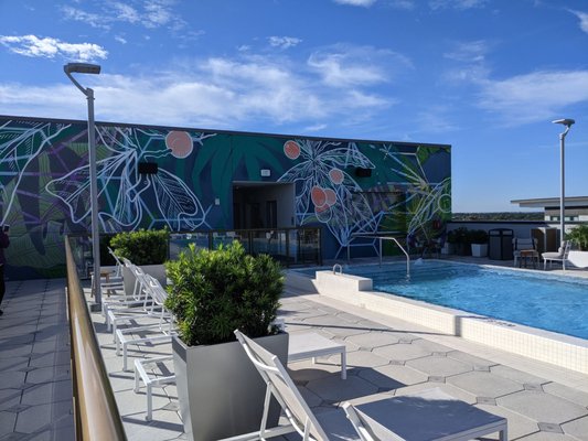 ELEMENT TAMPA MIDTOWN - Updated November 2024 - 70 Photos & 30 Reviews ...