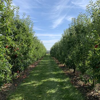 PINGLE’S FARM MARKET - 76 Photos & 13 Reviews - 1805 Taunton Road E ...