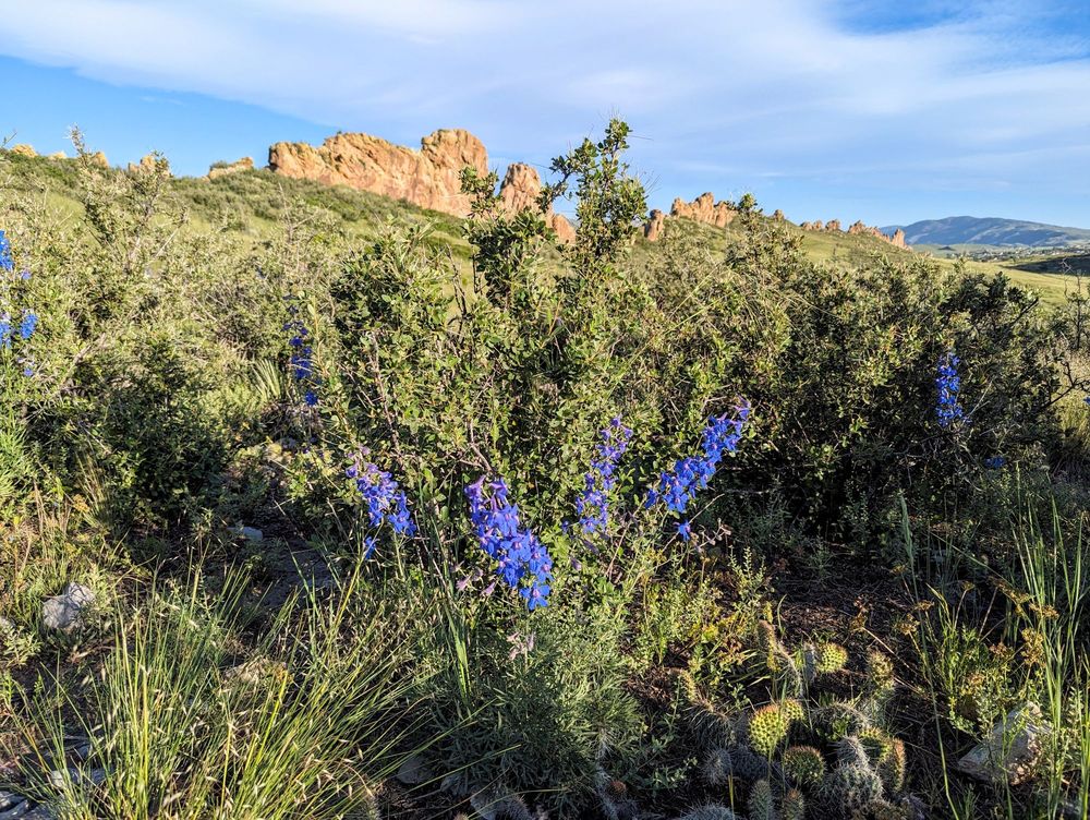 DEVIL’S BACKBONE - Updated November 2025 - 197 Photos & 44 Reviews ...