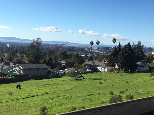 VISTA POST ACUTE - Updated October 2025 - 22 Photos & 13 Reviews - 3269 ...