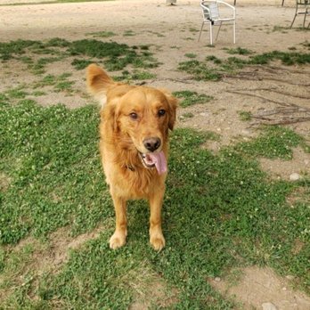 MARCO DOG PARK - Updated December 2025 - 44 Photos & 40 Reviews - 1800 ...