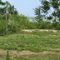 NORMAN J LEVY PARK & PRESERVE - Updated July 2025 - 533 Photos & 71 ...