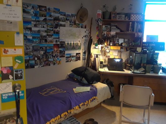 HAGGETT HALL - Updated November 2024 - 4000 15th Ave NE, Seattle ...