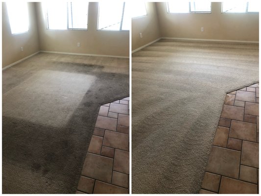 Carpet Cleaning Casa Grande