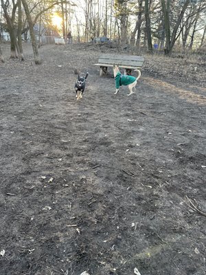 ARLINGTON-ARKWRIGHT DOG PARK - Updated October 2025 - 12 Photos & 14 ...