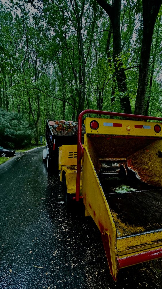 CLEAR VIEW TREE SERVICES - Updated December 2025 - Baltimore, Maryland ...