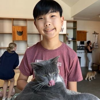 CATFE - Updated December 2025 - 466 Photos & 117 Reviews - 88 West ...