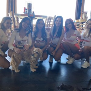 HOOTERS - 60 Photos & 74 Reviews - 1708 Nm Hwy 528, Albuquerque, New ...