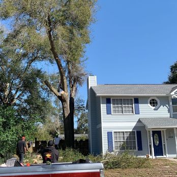 THE MAGIC RAKE TREE AND LANDSCAPING SERVICE - Updated December 2024 ...