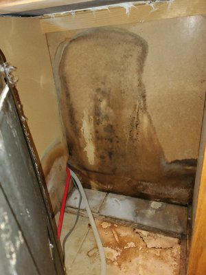 HAHN APPLIANCE WAREHOUSE - Updated November 2024 - 21 Photos & 118 ...