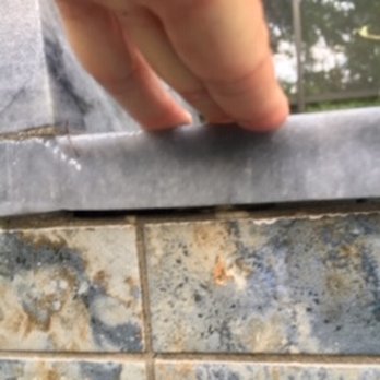 LAGASSE POOLS & SERVICE - Updated March 2025 - 21 Photos & 14 Reviews ...