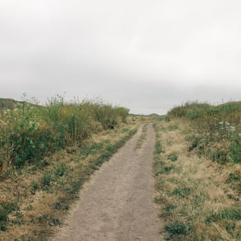 KEHOE BEACH - Updated December 2024 - 104 Photos & 34 Reviews - Point ...