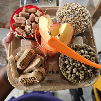 GOOD MOOD RANCH - Updated December 2025 - 148 Photos & 18 Reviews - 306 ...