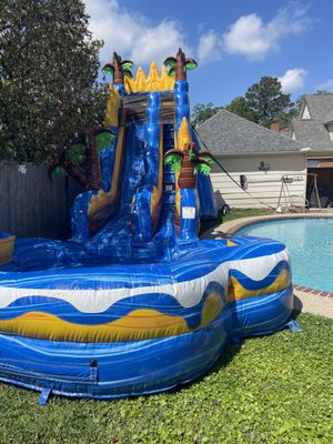 BOOGIE BOUNCE - Updated June 2026 - 30 Photos - Houston, Texas - Bounce ...