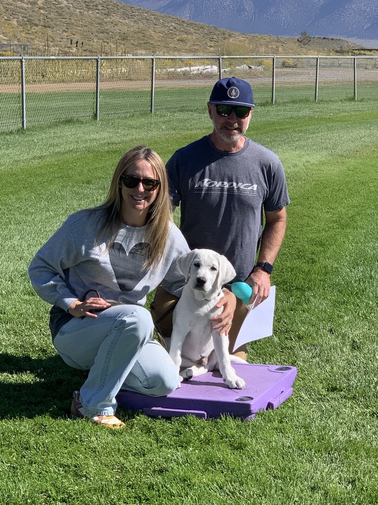 EASTERN SIERRA DOG SPORTS - Updated December 2025 - 28 Photos - Mammoth ...