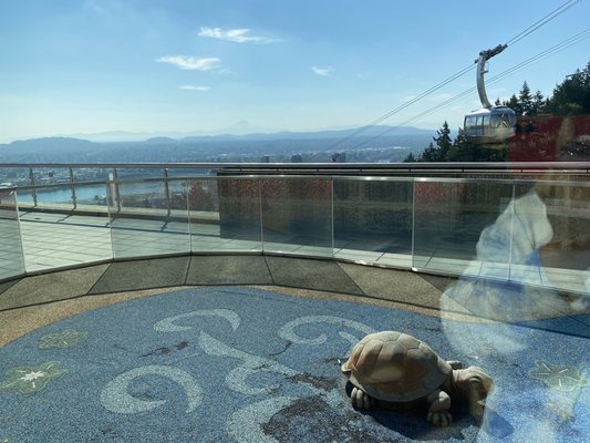 OHSU HOSPITAL - Updated July 2025 - 64 Photos & 127 Reviews - 3181 SW ...