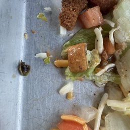 GUTTER CHAOS - Updated January 2026 - 21 Photos & 56 Real Reviews - 25 ...