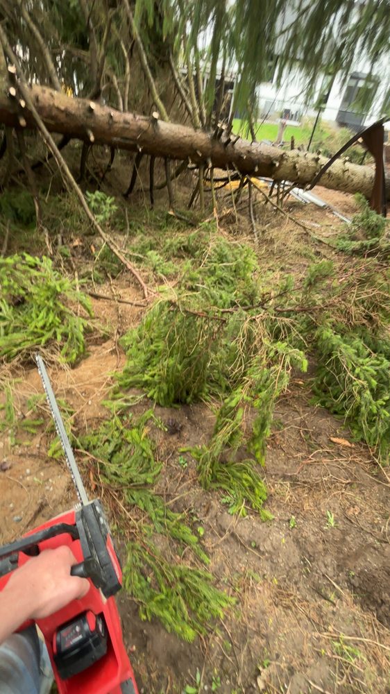 RM PROPERTY MAINTENANCE - Updated December 2025 - 853 Apricot Drive, London, Ontario ...