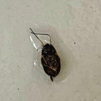 CONREX PROPERTY MANAGEMENT - Updated December 2025 - 161 Photos & 54 ...