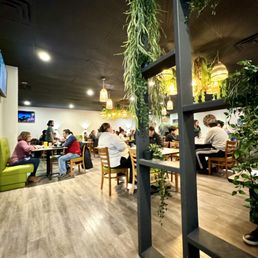 CILANTRO LATIN FUSION - Updated May 2025 - 262 Photos & 113 Reviews ...