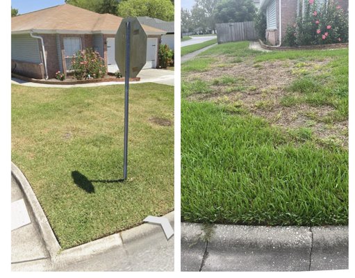 BUG-OUT SERVICE - Updated October 2025 - 28 Reviews - 1959 Kings Ave ...