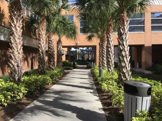 ORLANDO HEALTH ORLANDO REGIONAL MEDICAL CENTER - 72 Photos & 108 ...