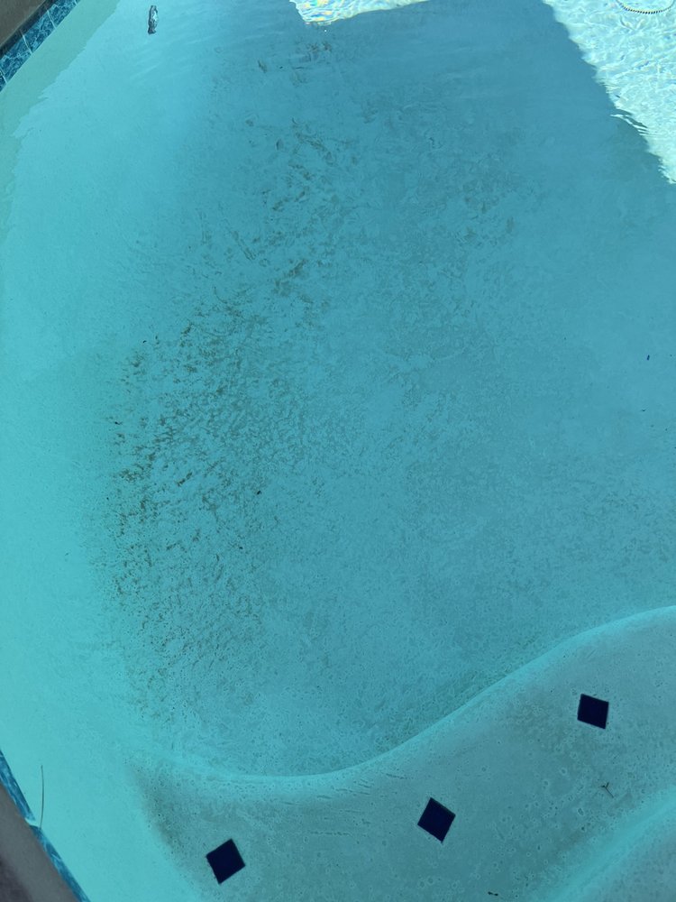 POOL TROOPERS - Updated November 2024 - 16 Photos & 38 Reviews - 3219 E ...