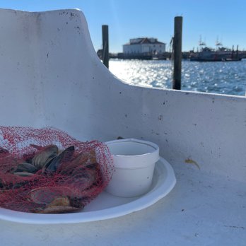 MENEMSHA FISH MARKET - Updated July 2024 - 287 Photos & 130 Reviews ...