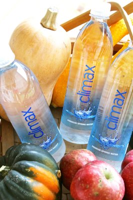 CLIMAX SPRING WATER - Updated October 2025 - 18 Photos - 6311 Climax Rd ...