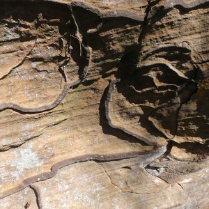 DEVIL’S RACE TRACK TRAIL - 10 Photos - Devil's Racetrack Overlook ...