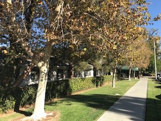 MADISON GROVE POST ACUTE - Updated January 2026 - 73 Photos & 69 ...