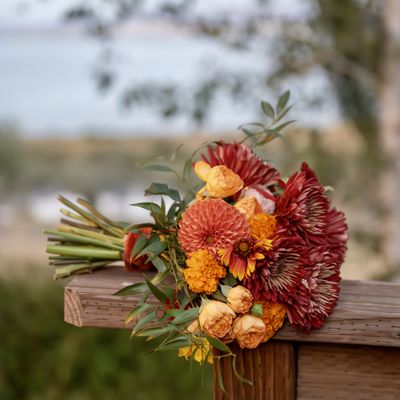 MONO INN - Updated December 2025 - 132 Photos & 61 Reviews - 55620 Hwy ...