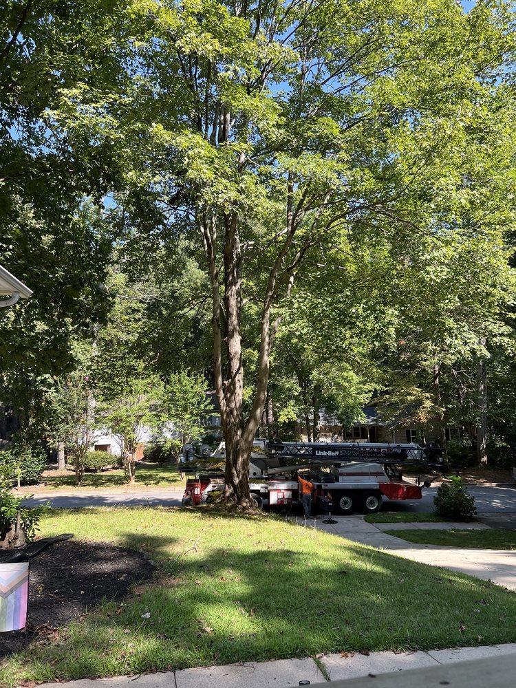 MOLINA’S TREE SERVICE AND LANDSCAPING - Updated September 2025 - 63 ...