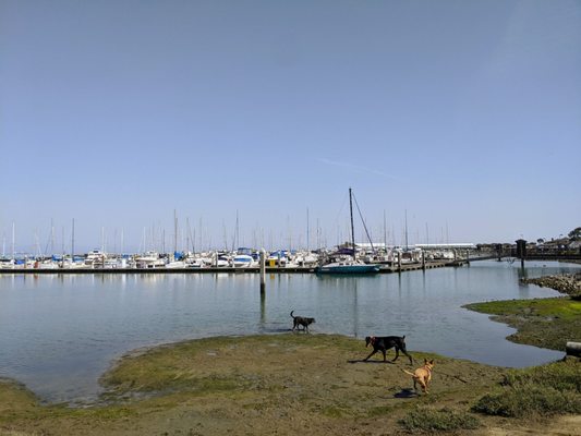 OYSTER POINT PIER - Updated November 2024 - 150 Photos & 34 Reviews ...