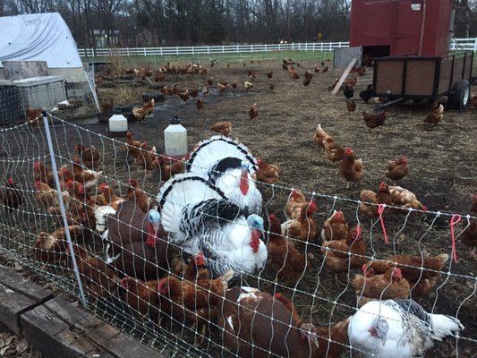 MELISSA’S FARM - Updated May 2025 - W220N8578 Town Line Rd, Menomonee ...