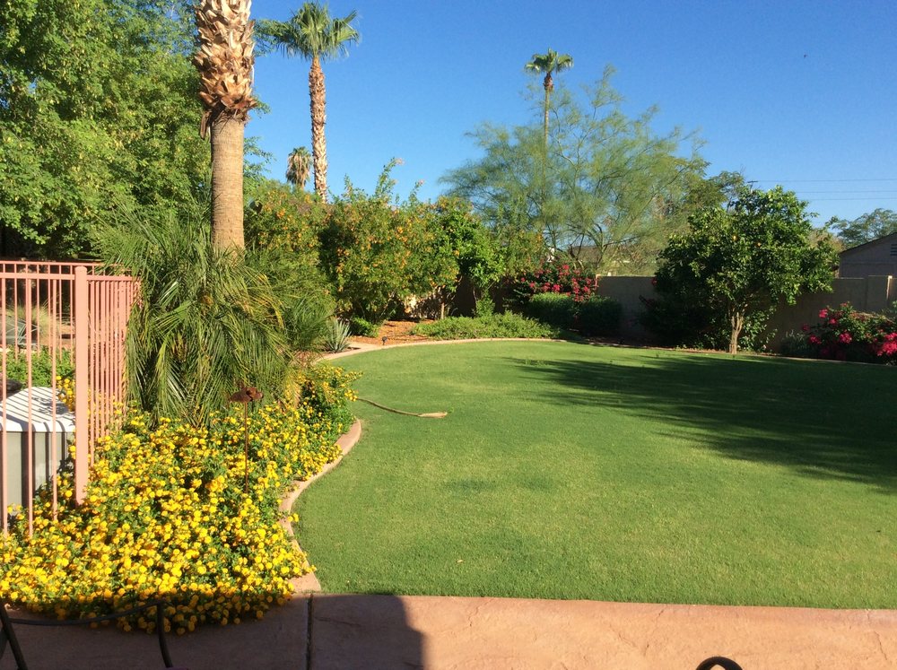 WEST COAST LAWNS - Updated November 2024 - 21 Photos - Phoenix, Arizona ...