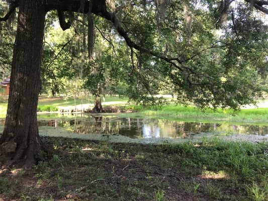 LAKE BISTINEAU STATE PARK - 13 Photos - Parks - 103 State Park Rd ...