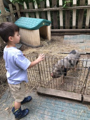 NATURAL VALLEY RANCH - 34 Photos & 14 Reviews - 6310 E Co Rd 350 N ...