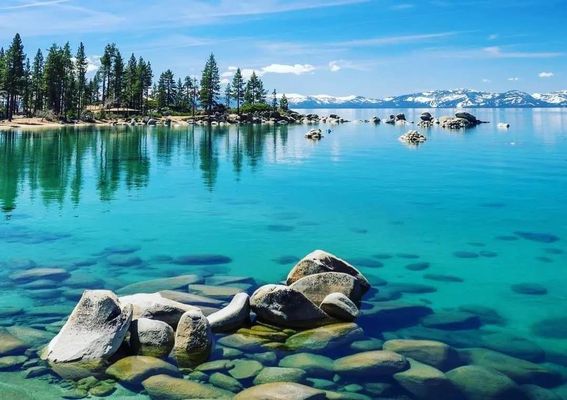 WILLIAM N CLEARFIELD, DO - Updated December 2025 - 9550 S Mccarran Blvd ...