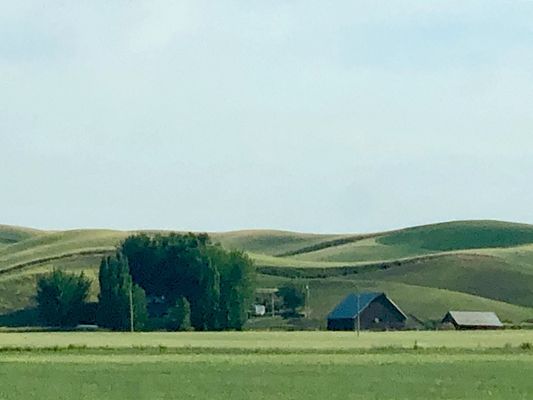 THE PALOUSE SCENIC BYWAY - Updated July 2024 - 14 Photos - 415 N Grand ...