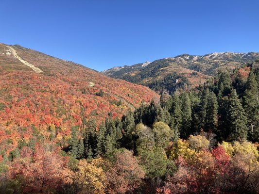 MUELLER PARK TRAIL - Updated July 2025 - 20 Photos - Mueller Park Rd ...