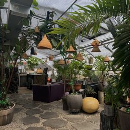 THE GREENHOUSE BAR - Updated December 2025 - 454 Photos & 358 Reviews ...