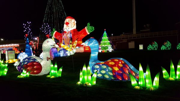 SEATTLE LANTERN LIGHT FESTIVAL - Updated April 2025 - 44 Photos - 4390 ...