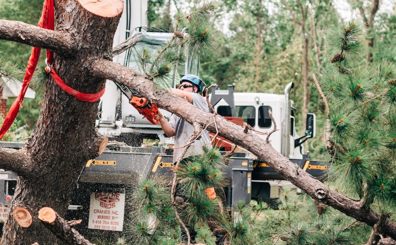 ARBORCARE TREE MANAGEMENT - Updated June 2025 - Holly Ridge, North ...