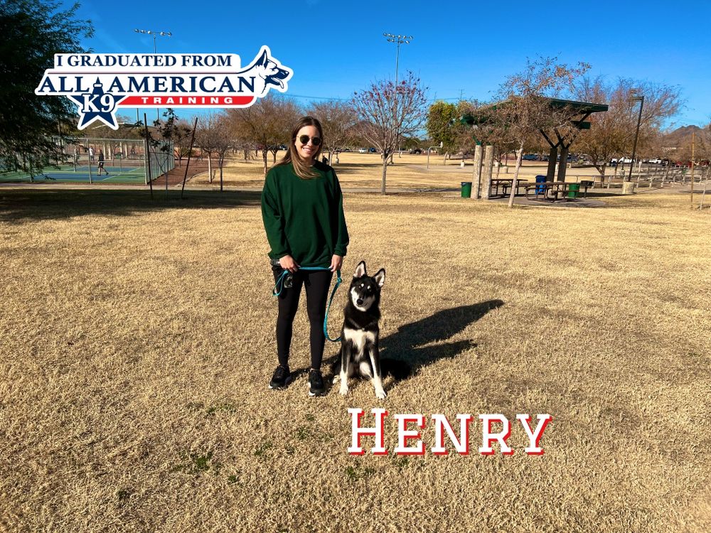 ALL-AMERICAN K-9 DOG TRAINING - 367 Photos & 253 Reviews - Phoenix, AZ ...