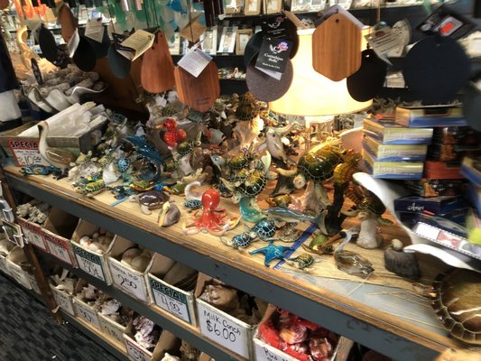 CALIFORNIA SEASHELL COMPANY - Updated June 2024 - 81 Photos & 89 ...